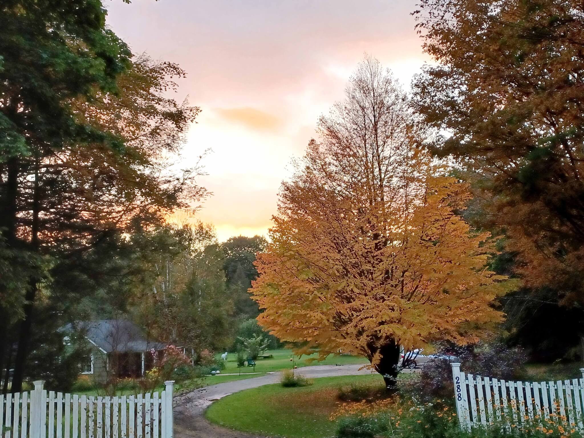 Community Leadership Training – Community Consulting Services